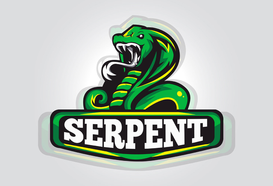 Mascot Logo Design Services That Bring Your Brand To Life